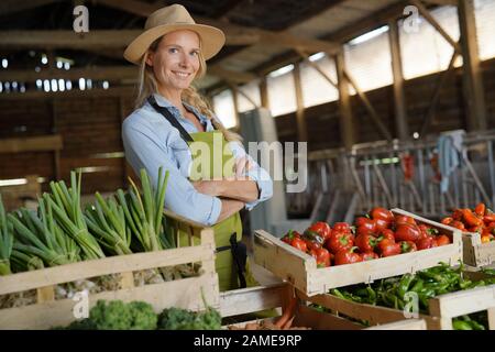 Farmer selling products directly fom the farm Stock Photo - Alamy