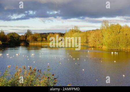 Country park, Melton Mowbray, UK. 22nd October, 2016. Dark clouds ...