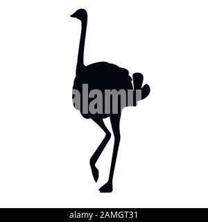 Cute ostrich stay on one leg african flightless bird cartoon animal ...