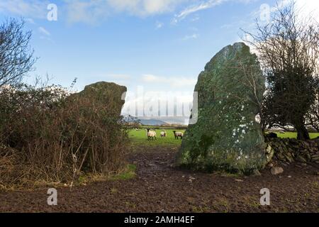 Bryn Gwyn standing stones, Anglesey, North Wales, UK. Two remaining ...