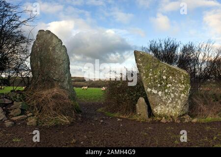 Bryn Gwyn standing stones, Anglesey, North Wales, UK. Two remaining ...