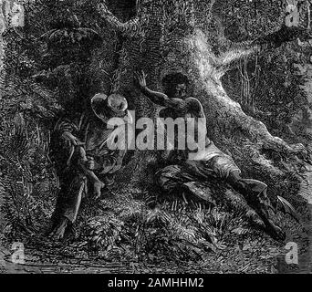 Spectral Bat, Vampyrum spectrum. Great false vampire bat or Linnaeus's ...