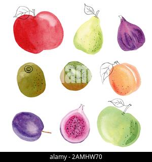 Apple red with half slice and plum, watercolor hand drawn illustration ...
