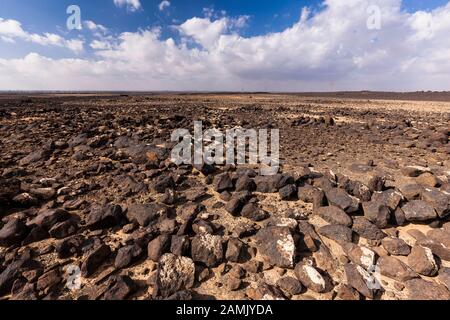 Desert Kite, kite site is ancient ruins, as trap for hunting, made by ...