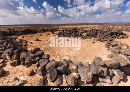 Desert Kite, kite site is ancient ruins, as trap for hunting, made by ...
