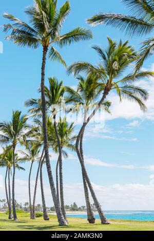Beautiful landscapes in Oahu island, Hawaii Stock Photo - Alamy