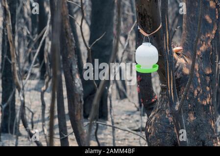 burnt houses from bush fire, Hermanus, South Africa Stock Photo - Alamy
