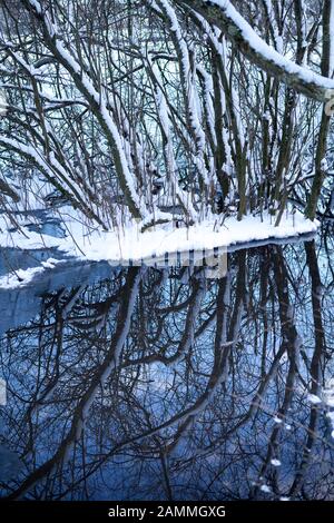 Wintery area around the Munich Fasaneriesee [automated translation ...