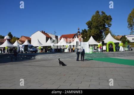 Green economy fair opportunities and opportunities opened Stock Photo ...
