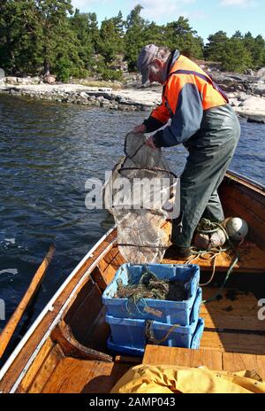 Harstena, Sweden 2012Fisherman on Harstena in Östergötland archipelago ...