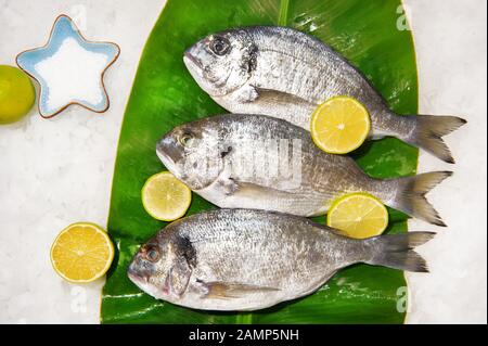Dorado fish on ice decorated with lime and basil Stock Photo - Alamy