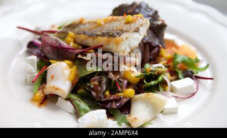 A restaurant main course dish of sea bass and calamari with mixed salad ...