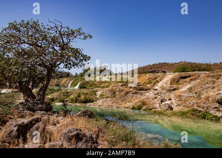 Wadi Darbat (The Darbat Valley) is the most beautiful and scenic spot ...