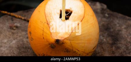 King Coconut is well known as Thembili, is native to Sri Lanka, sweeter ...