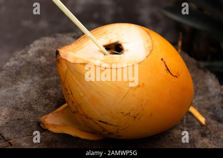 King Coconut is well known as Thembili, is native to Sri Lanka, sweeter ...