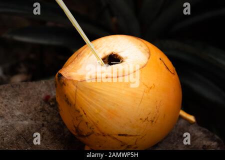 King Coconut is well known as Thembili, is native to Sri Lanka, sweeter ...