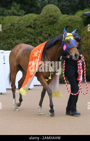 Kyoto, Japan. 5th Jan, 2020. Diatonic (Yuichi Kitamura) Horse Racing ...