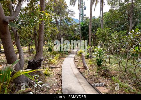Narrow concrete uphill walkway through the mountain and forests leading ...