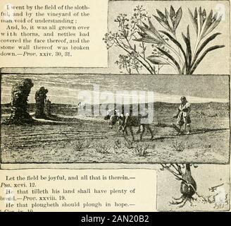 Dagon, the chief deity of the Philistines, Bible, Old Testament, First ...