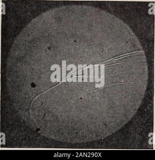 Characteristics of striæ in optical glass . Fig. 13.—Rolled crown glass ...