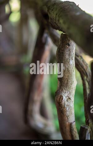 Rustic fence made with tree branches and wooden posts with a small roof ...