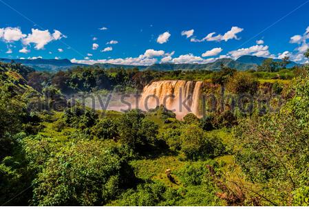 Blue Nile Falls known as Tis Abay or Tis Isat Ethiopia Stock Photo - Alamy