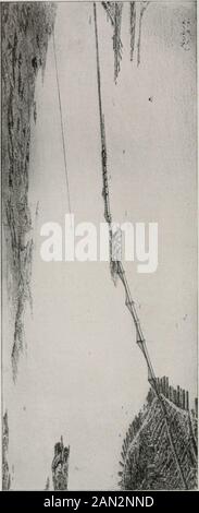 Steel cable anchorage of a cable-stayed bridge, Am Muenchner gate Stock ...