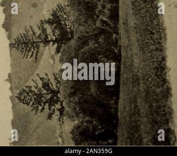 Map of Santa Cruz in California Stock Photo - Alamy