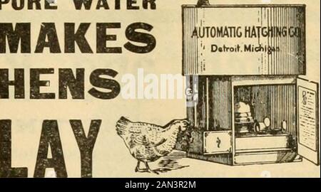 Bee drinking from fountain Stock Photo - Alamy