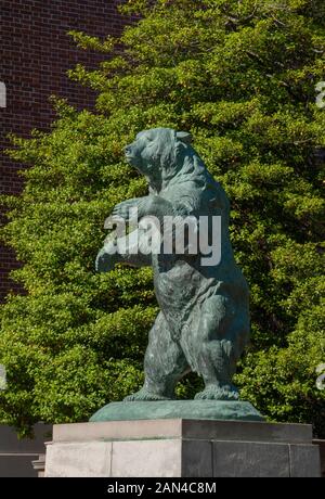 brown university mascot bruno bear statue Stock Photo: 89233215 - Alamy