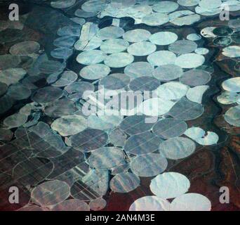 Aerial views of circular pivot irrigated fields in Washington state ...