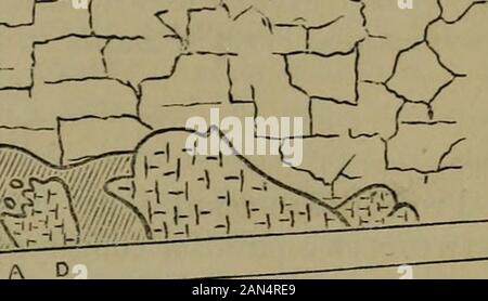 Felsite, Igneous Rocks Stock Photo - Alamy