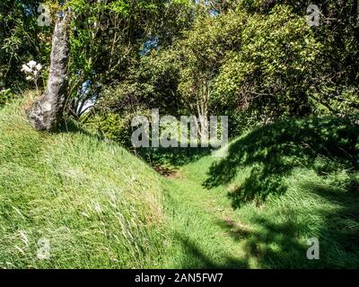 Historic Maori battle site, overgrown remains of entrenchment ditch and ...