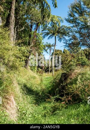 Historic Maori battle site, overgrown remains of entrenchment ditch and ...