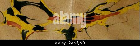 Portrait de S.E. le Cardinal Manning (1st plate) , Cardinals, Manning ...