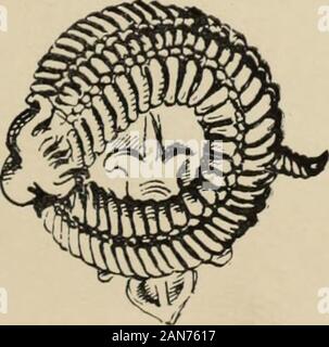 The grotesque in church art . Wildridge, T.T,Church art. - The ...