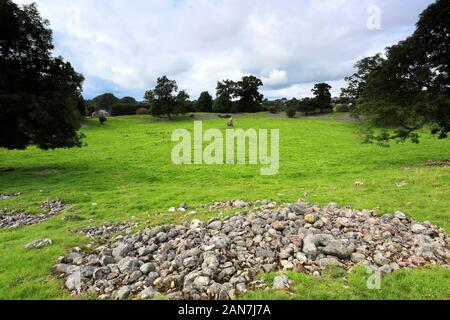 Stone Circles in Cumbria Stock Photo - Alamy