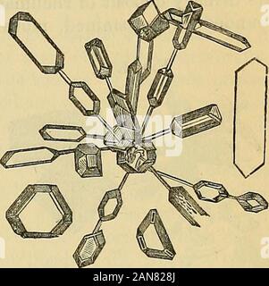Carpenter's principles of human physiology . s, Figs. 290-292, will ...