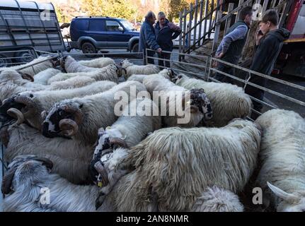 Kenmare Farm Market, Kenmare, Ireland Stock Photo - Alamy