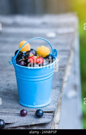 Raspberry in a blue bucket on wooden table Stock Photo - Alamy