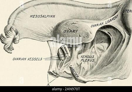Inner tube border Stock Photo - Alamy