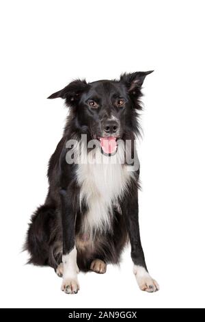 Full body portrait of adorable cheerful lady enjoy chilling dance ...