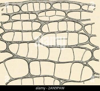 Lectures on the physiology of plants . e where they grow. In this they ...