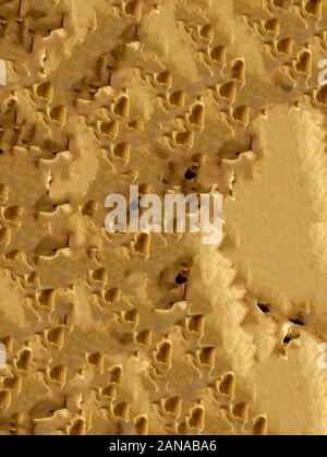 Very close-up abstract of colourful bone structure Stock Photo - Alamy