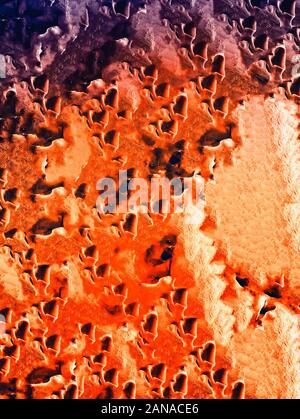 Very close-up abstract of colourful bone structure Stock Photo - Alamy