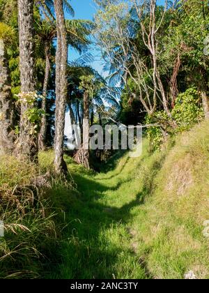 Historic Maori battle site, overgrown remains of entrenchment ditch and ...