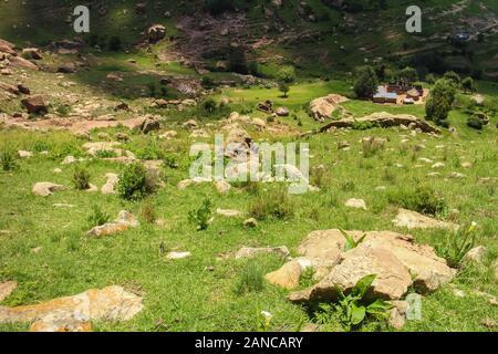LESOTHO South Africa Architecture Village housing surrounded by trees ...