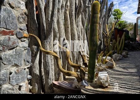 boma,fencing,fence,cactus,cacti,succulent,succulents,display,displays ...