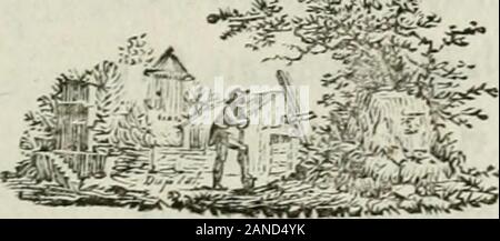 Le Renard et la Cigogne (The Fox and the Stork) - fable by La Stock ...