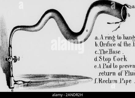 Practical observations on some of the diseases of the rectum, anus, and ...
